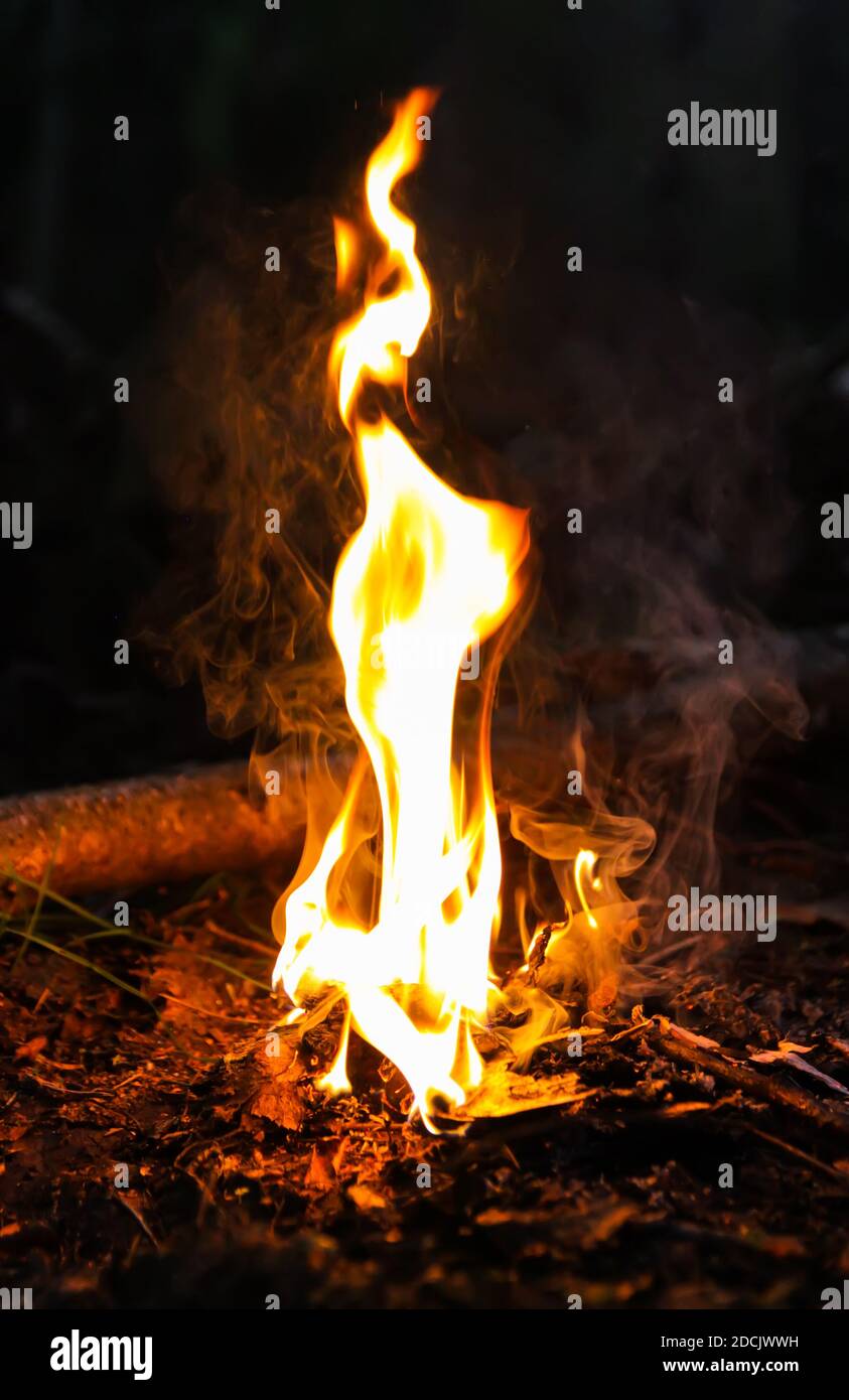 Fire in the forest. Bright flame on nature background Stock Photo - Alamy