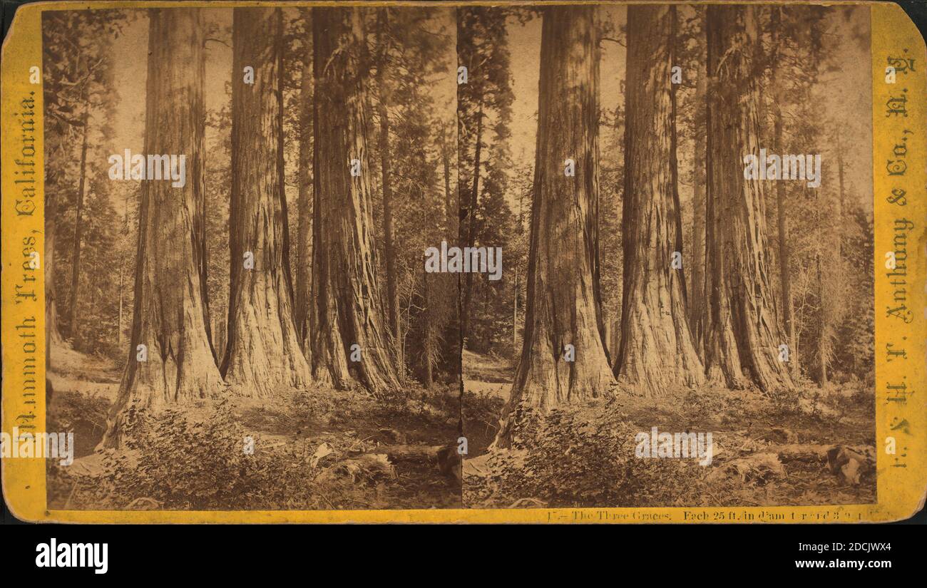 The Three Graces, Fach 25 ft. in diameter...., still image ...