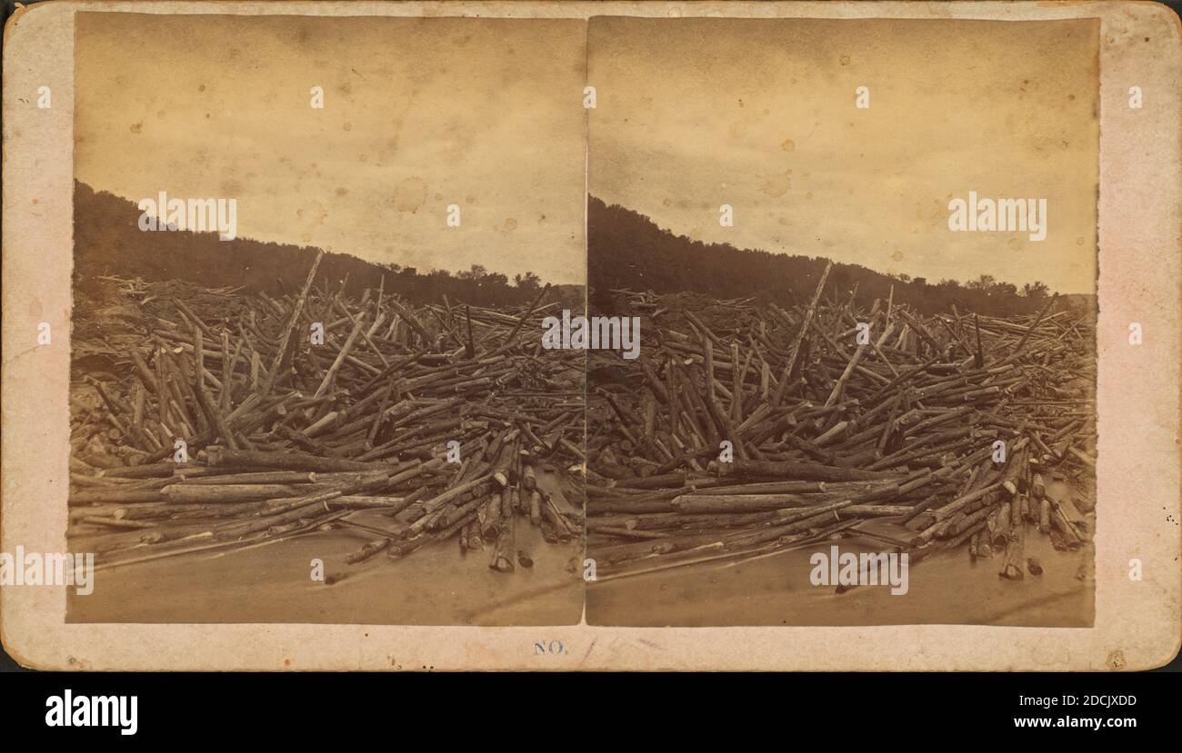 Log booms and log jams on the river., still image, Stereographs, 1850 ...