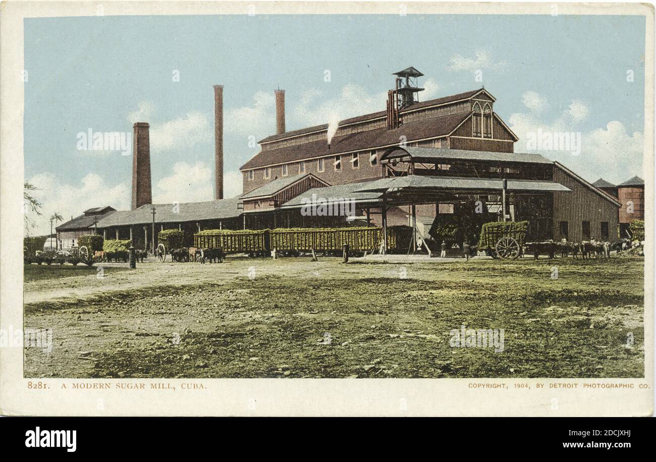 Modern Sugar Factory