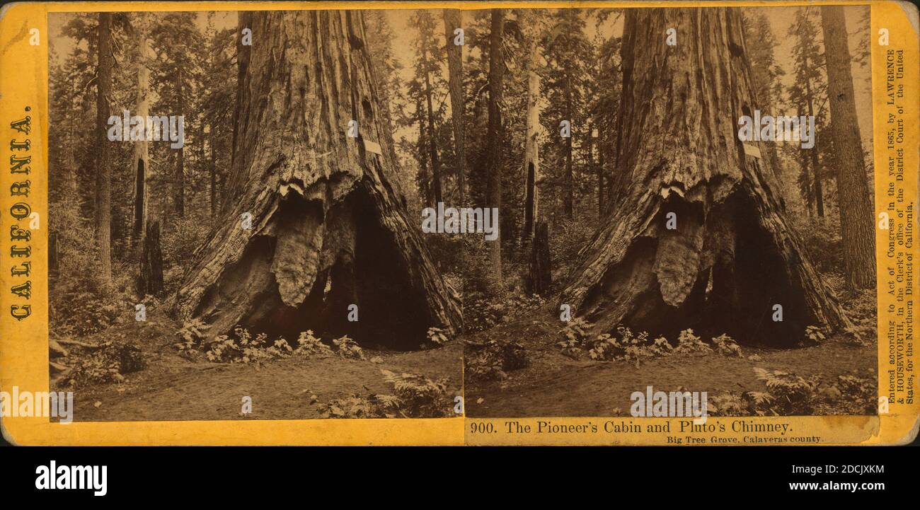 The Pioneer's Cabin and Pluto's Chimney, Big Tree Grove, Calaveras ...