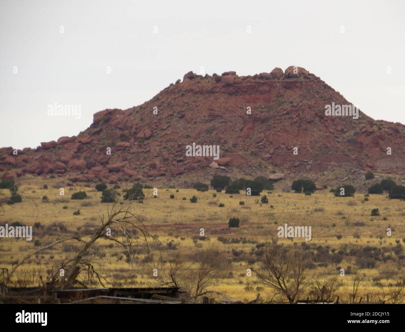 Rock cliff in New Mexico Stock Photo - Alamy