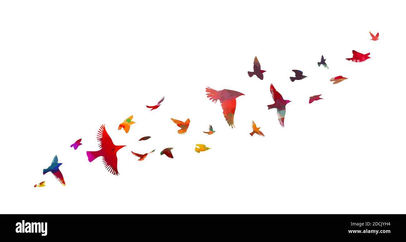 Bird watercolor. A flock of colorful birds. Vector Stock Vector Image ...
