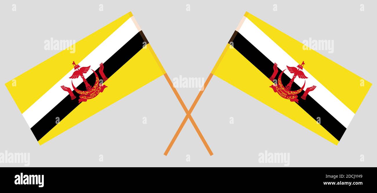 Crossed flags of Brunei. Official colors. Correct proportion. Vector ...