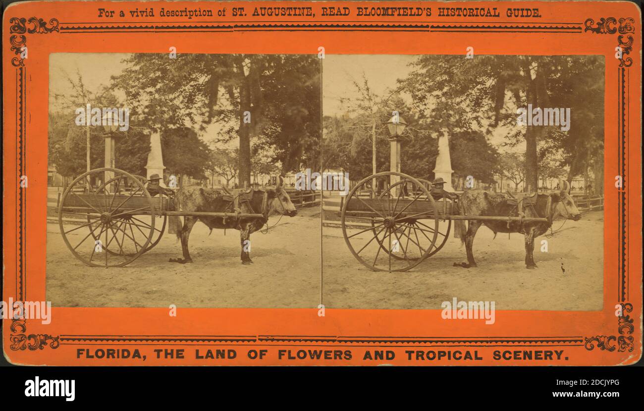 Lightning Express., still image, Stereographs, 1850 - 1930 Stock Photo ...