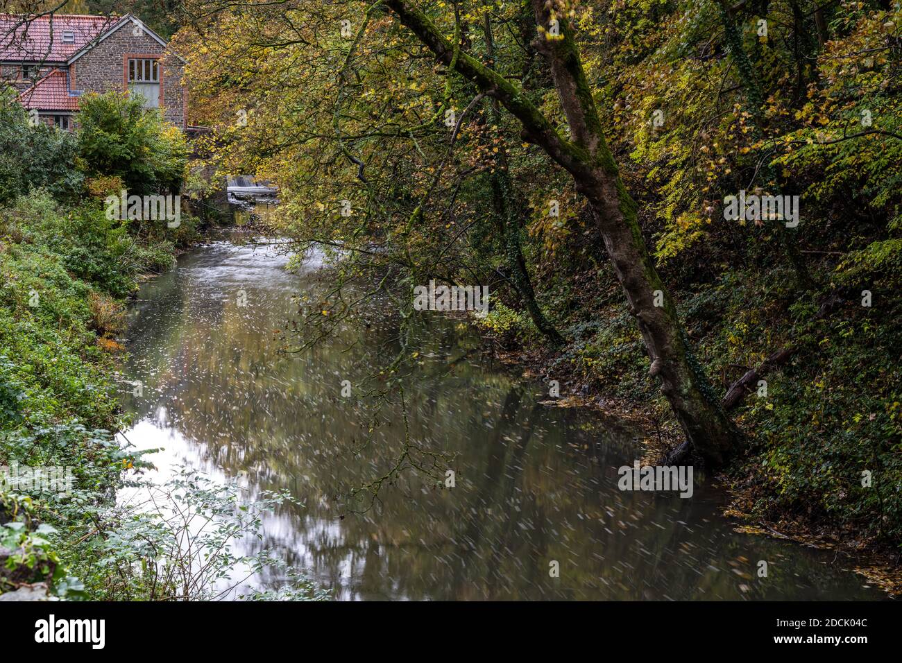 River frome bristol hi-res stock photography and images - Alamy