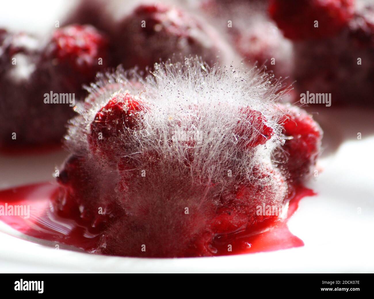 Food storage health and safety hi-res stock photography and images - Alamy