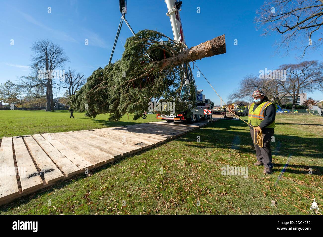 Crane lifts tree hi-res stock photography and images - Alamy