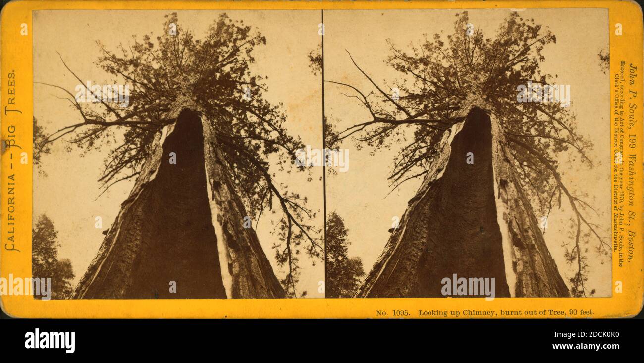 P 90 hi-res stock photography and images - Alamy