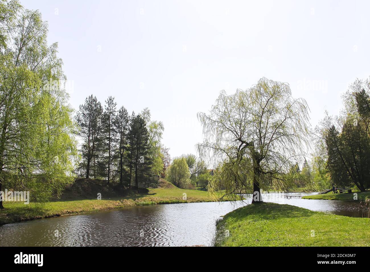 Spring landscape with green meadow and trees Stock Photo - Alamy