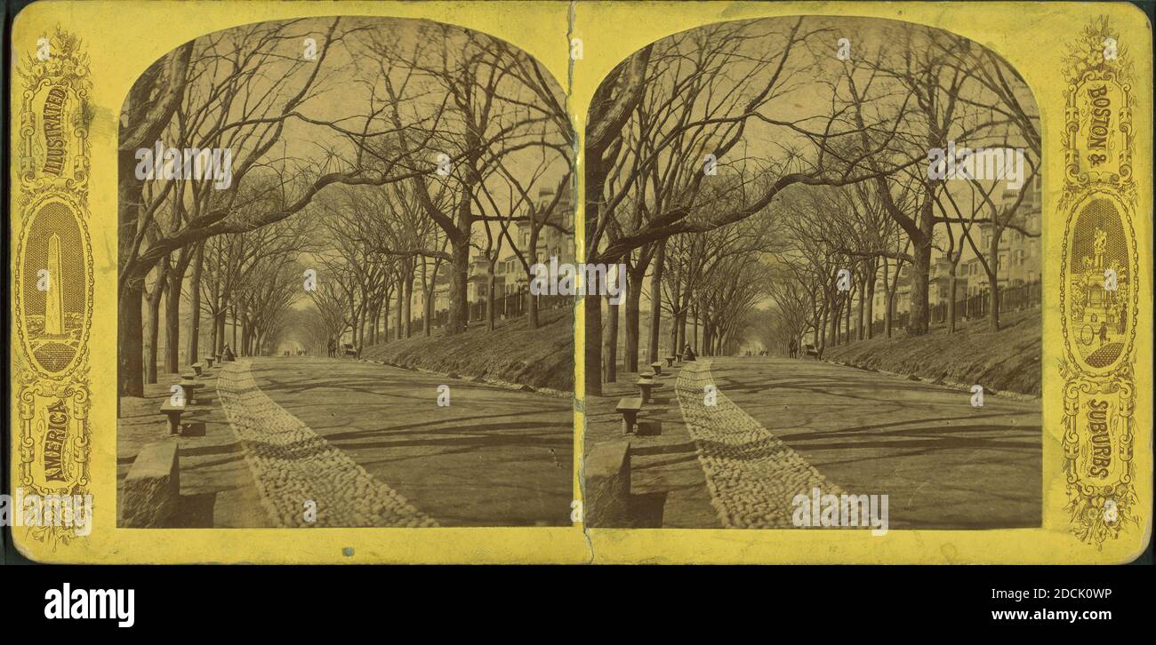 Boston Common., still image, Stereographs, 1850 - 1930 Stock Photo - Alamy
