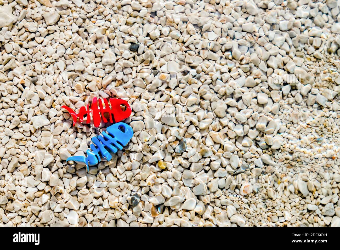 Blue and red fish chopsticks helper under water. Transparent sea water ...