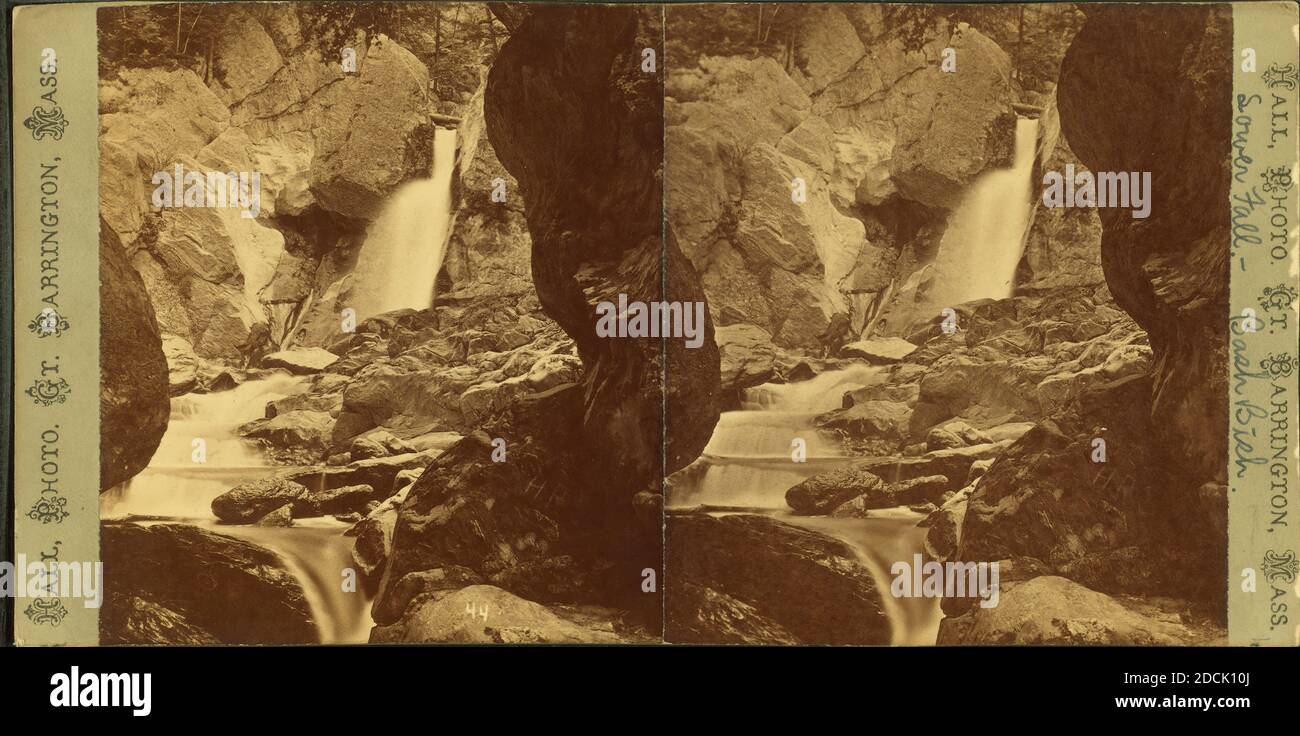 Bash hi-res stock photography and images - Alamy