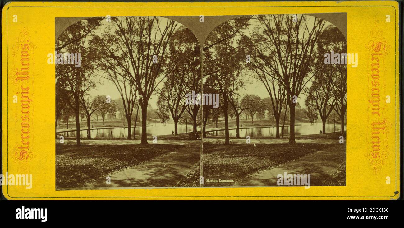 Boston Common., still image, Stereographs, 1850 - 1930 Stock Photo - Alamy