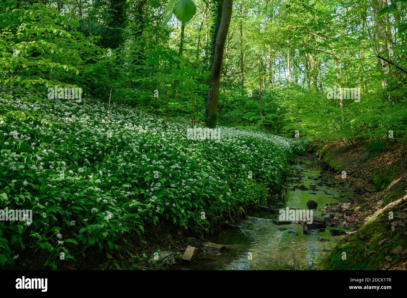 Worsley Station, Old Tyldesley Railway Loopline, Worsley, Manchester ...