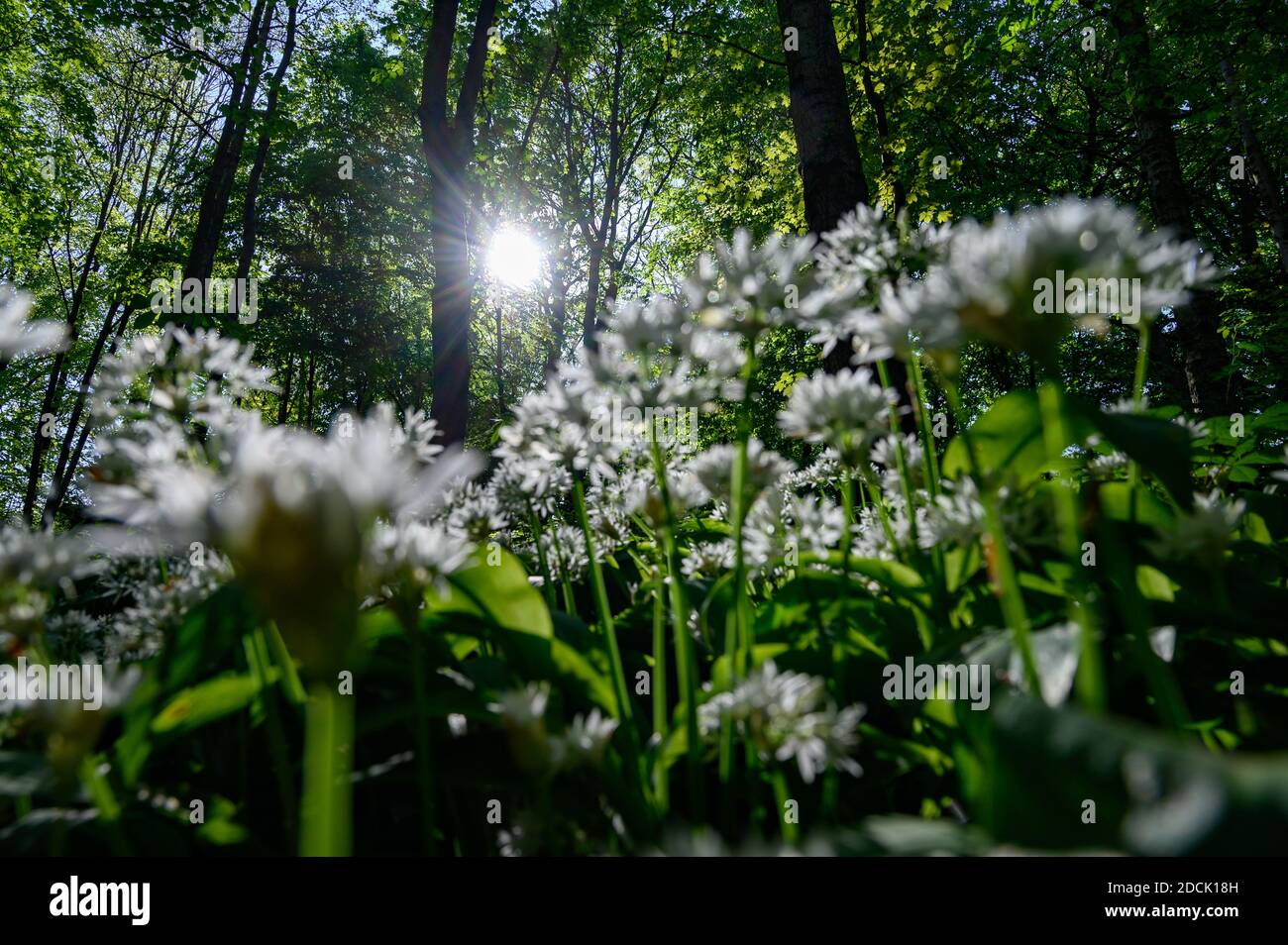 Loopline hi-res stock photography and images - Alamy