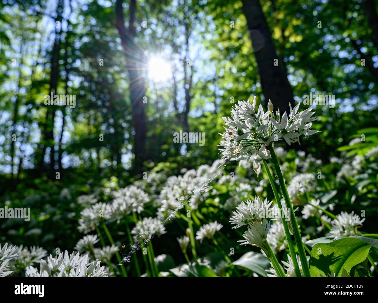 Worsley Station, Old Tyldesley Railway Loopline, Worsley, Manchester ...