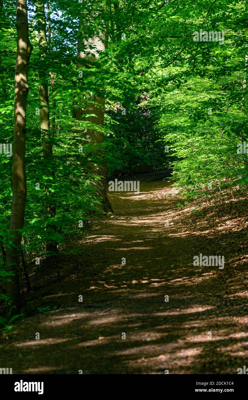 Worsley Station, Old Tyldesley Railway Loopline, Worsley, Manchester ...