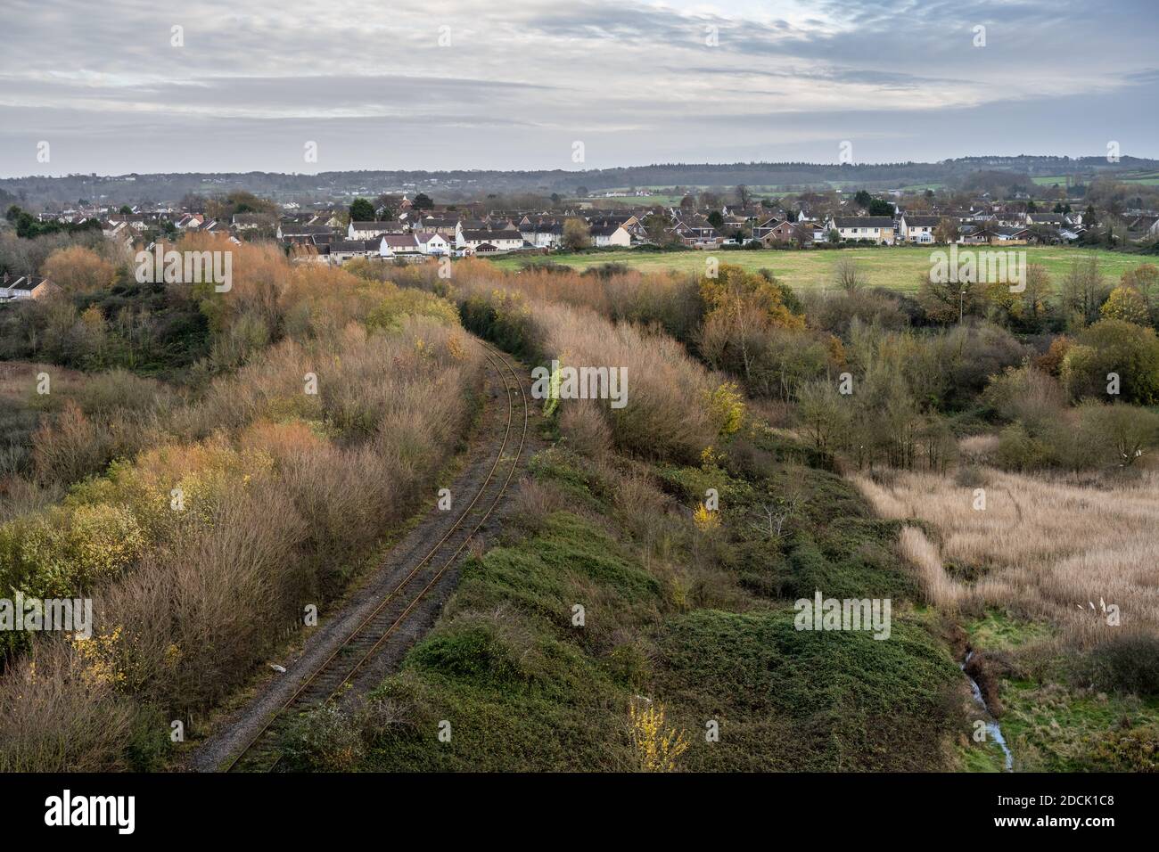 Overgrown railway track hi-res stock photography and images - Alamy