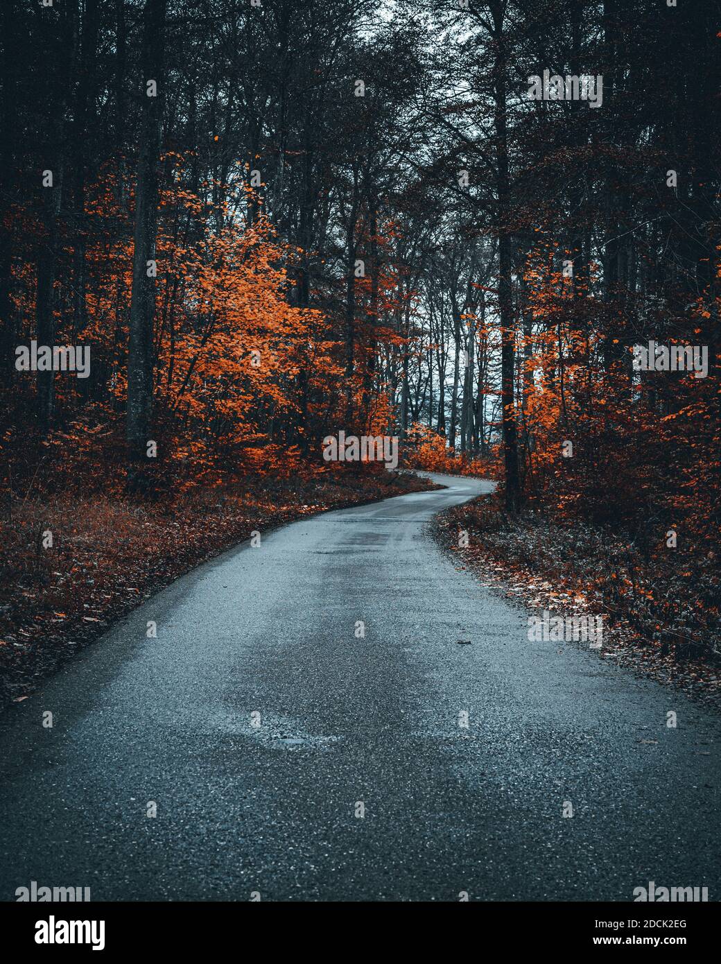 Gloomy Day Wallpaper