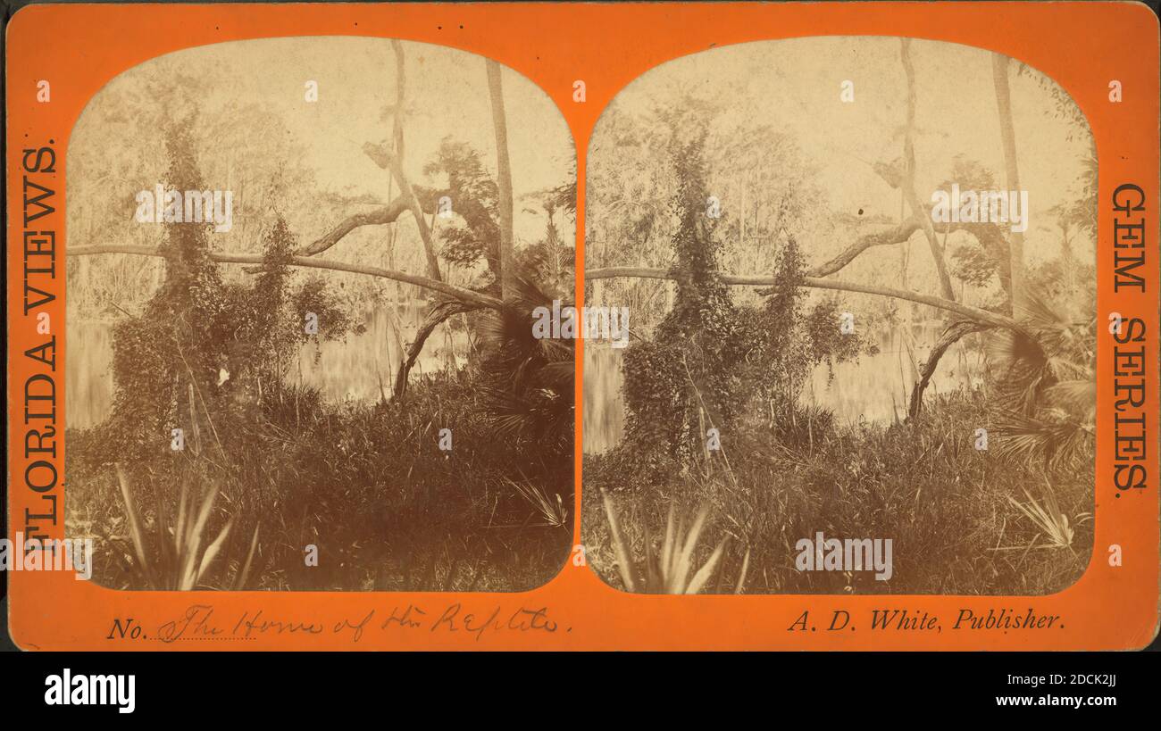 Stereographs hi-res stock photography and images - Alamy