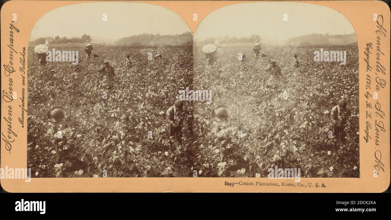 Georgia cotton plantation hi-res stock photography and images - Alamy