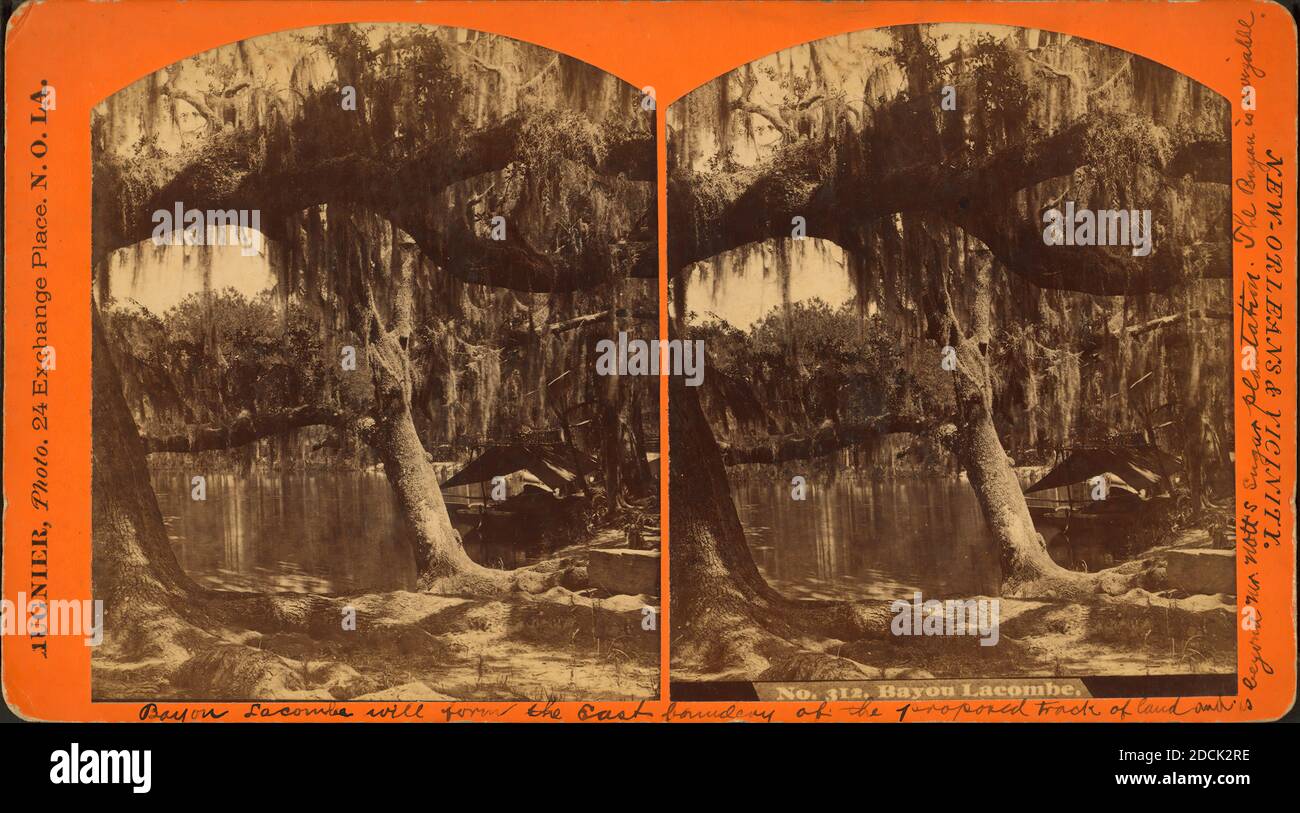 Bayou Lacombe., still image, Stereographs, 1850 - 1930, Mugnier, George ...