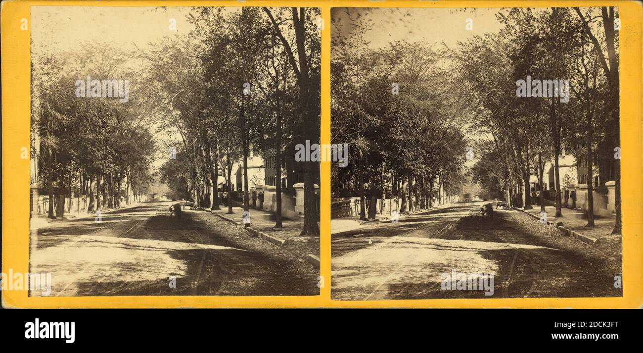 High Street, Portland, Maine., still image, Stereographs, 1850 - 1930 ...