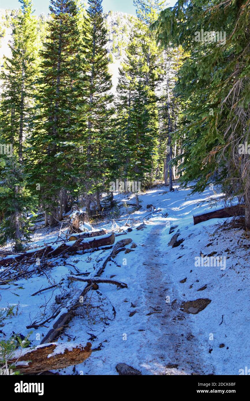 Red Pine Lake Trail mountain landscape scenic towards White Baldy and ...
