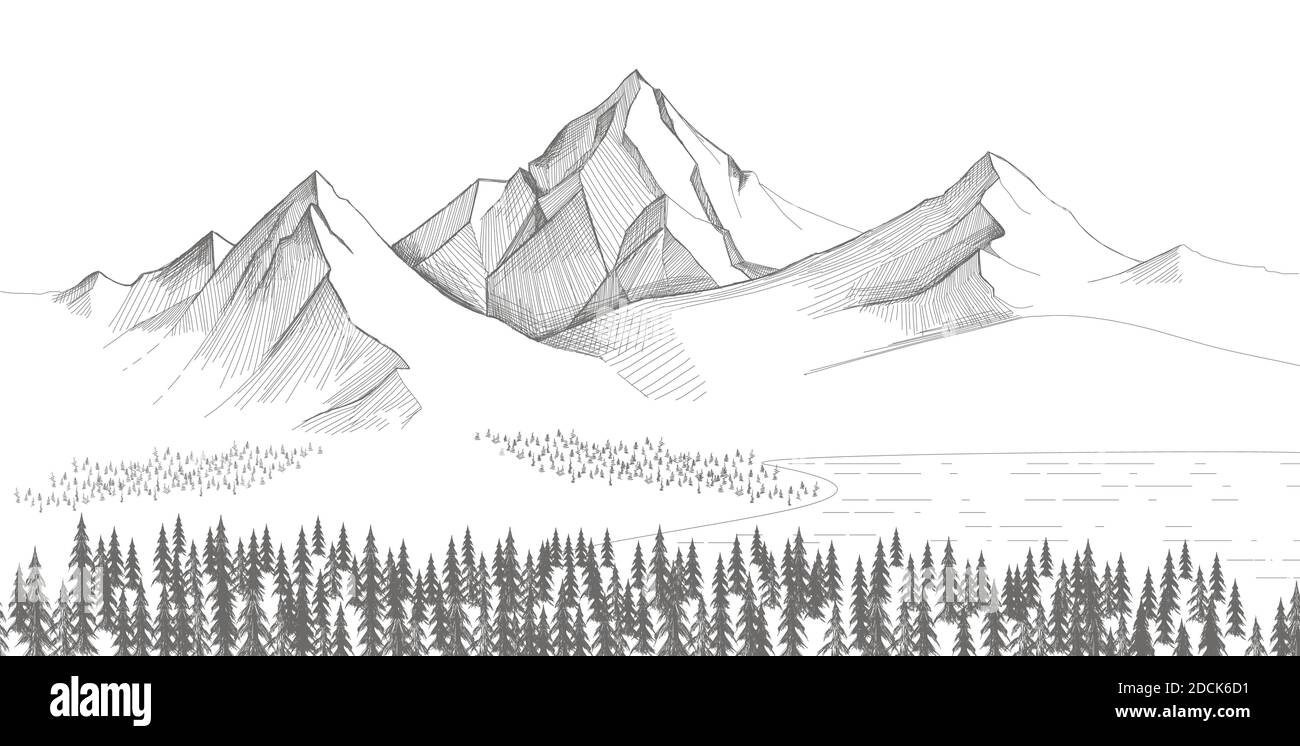 Mountain Landscape, forest pine trees sketch. Hand drawn vector ...