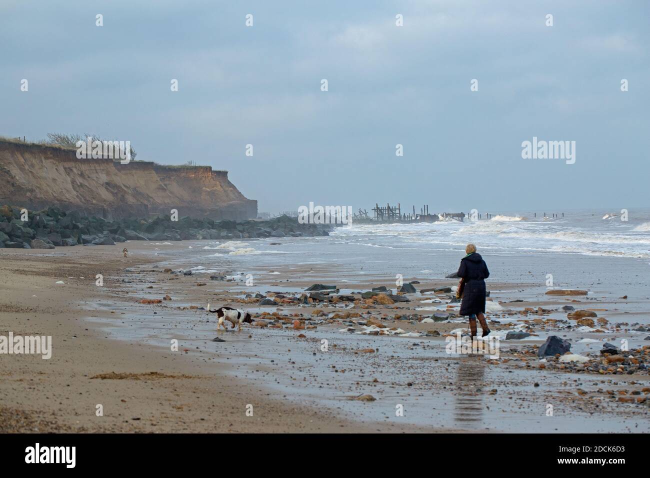 Dog walker. Happisburgh beach, Norfolk. Coastal cliff erosion by the ...