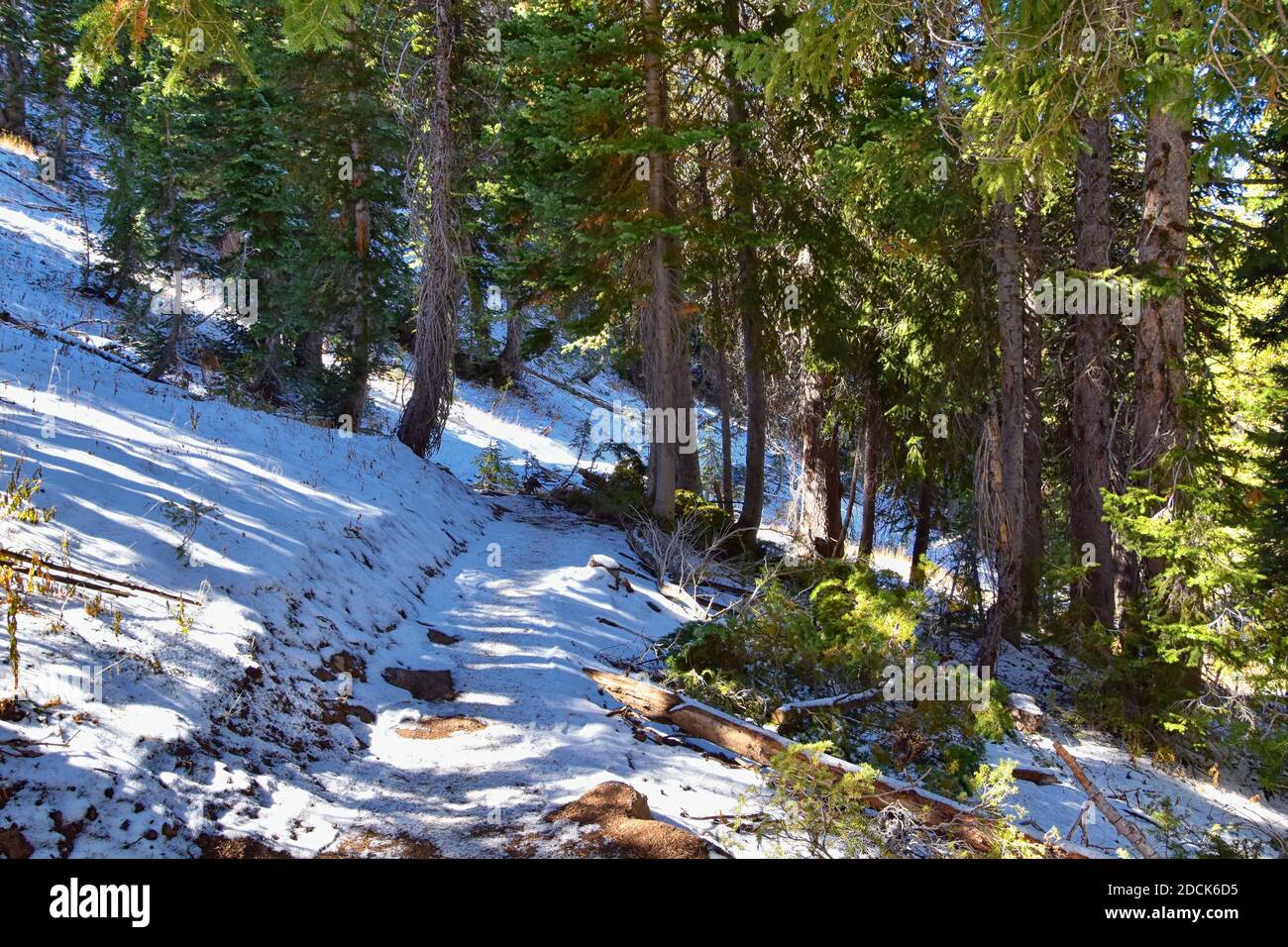 Red Pine Lake Trail mountain landscape scenic towards White Baldy and ...