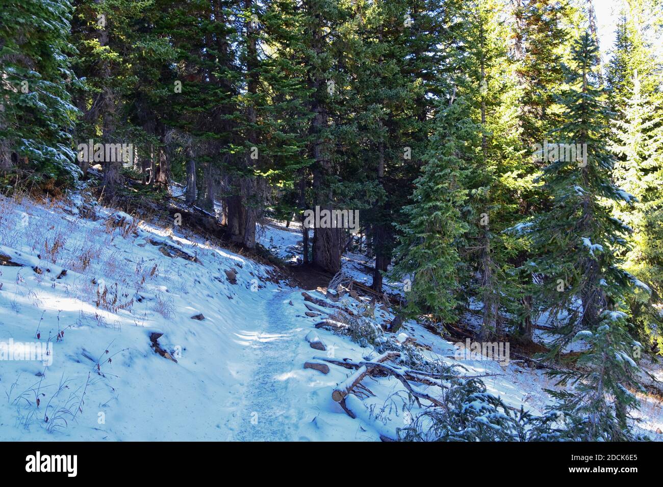 Red Pine Lake Trail mountain landscape scenic towards White Baldy and ...