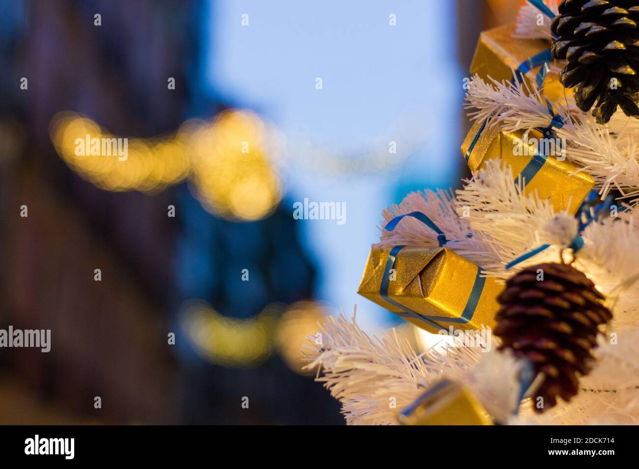 Wrap tree hi-res stock photography and images - Alamy