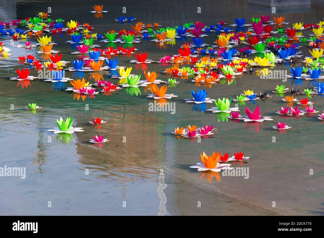 Colorful flowers made of cardboard and paper floating on water pond in ...