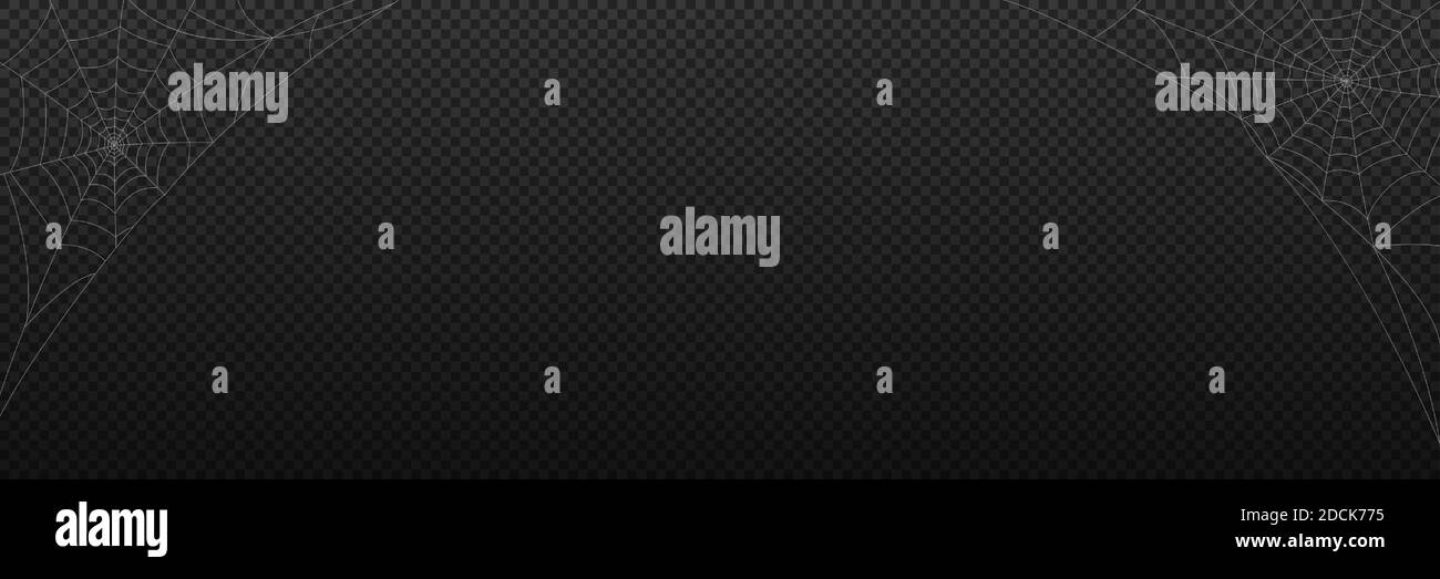 Vector illustration with spider web isolated on black background Stock ...