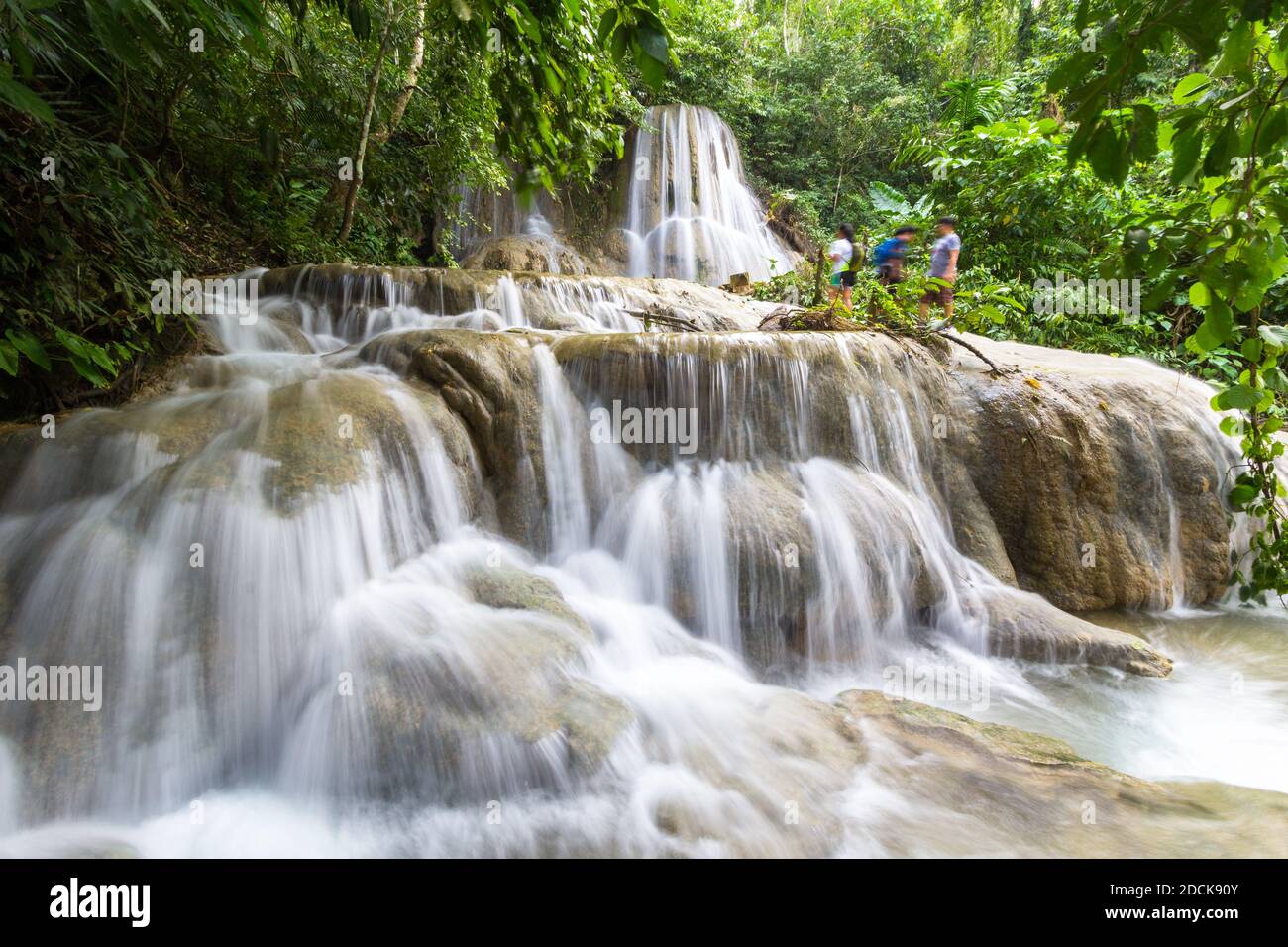 Philippine biodiversity hi-res stock photography and images - Alamy