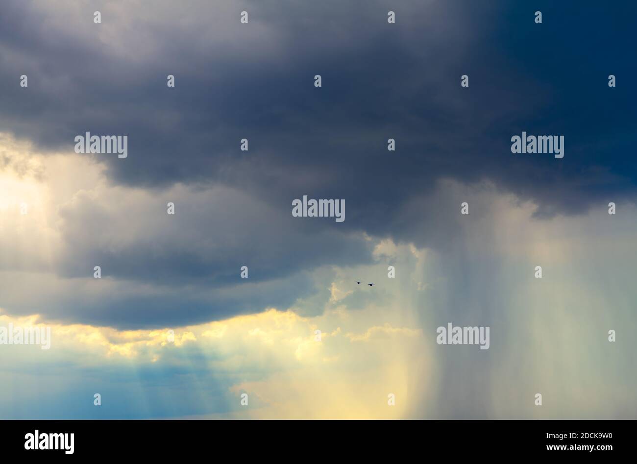 Heavy rain pouring shower thunderstorm hi-res stock photography and ...