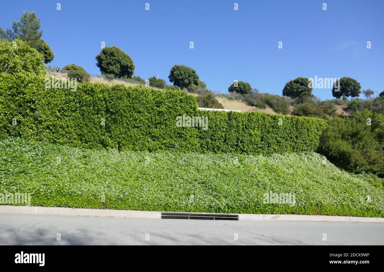 Beverly Hills, California, USA 21st November 2020 A general view of ...