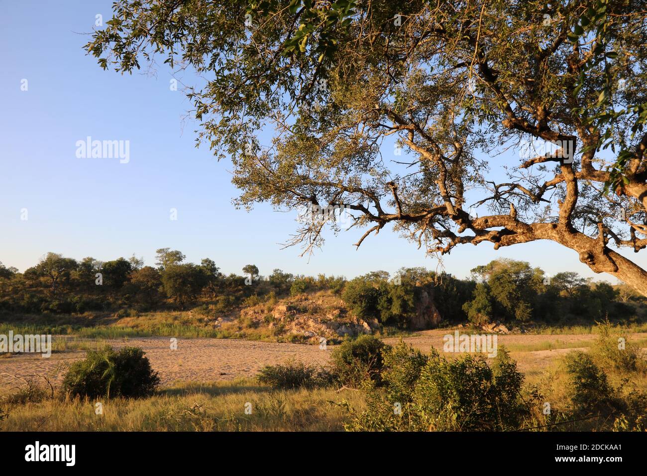 Biyamiti river hi-res stock photography and images - Alamy