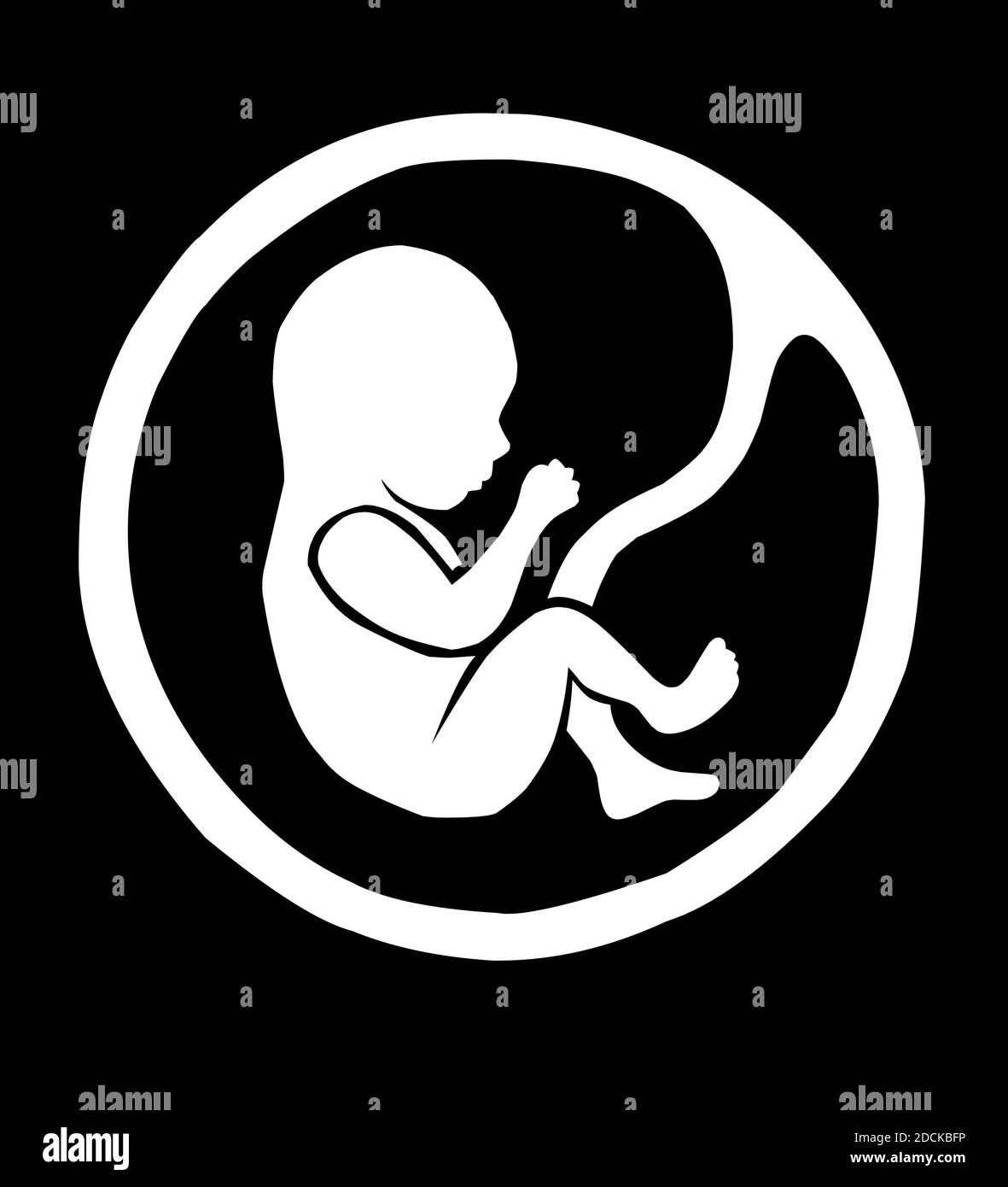 Childbirth Education Materials Human Female Pelvis Model Baby With ...