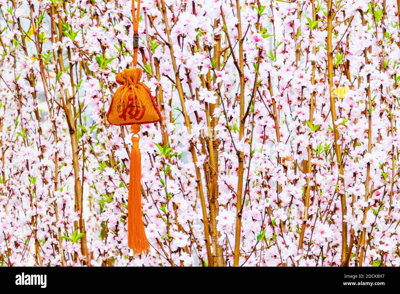 Fu money hi-res stock photography and images - Alamy