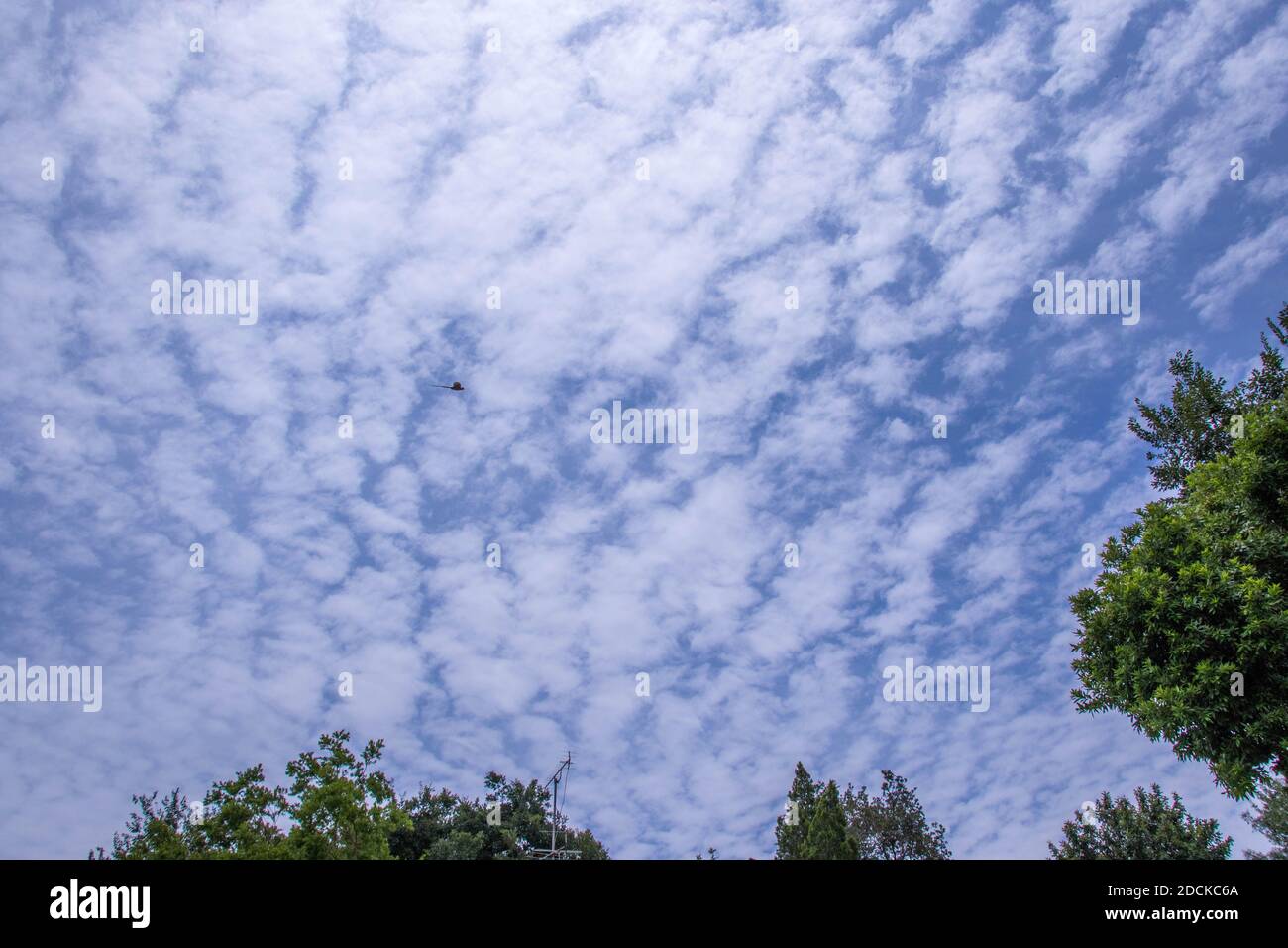 Highveld south africa hi-res stock photography and images - Alamy
