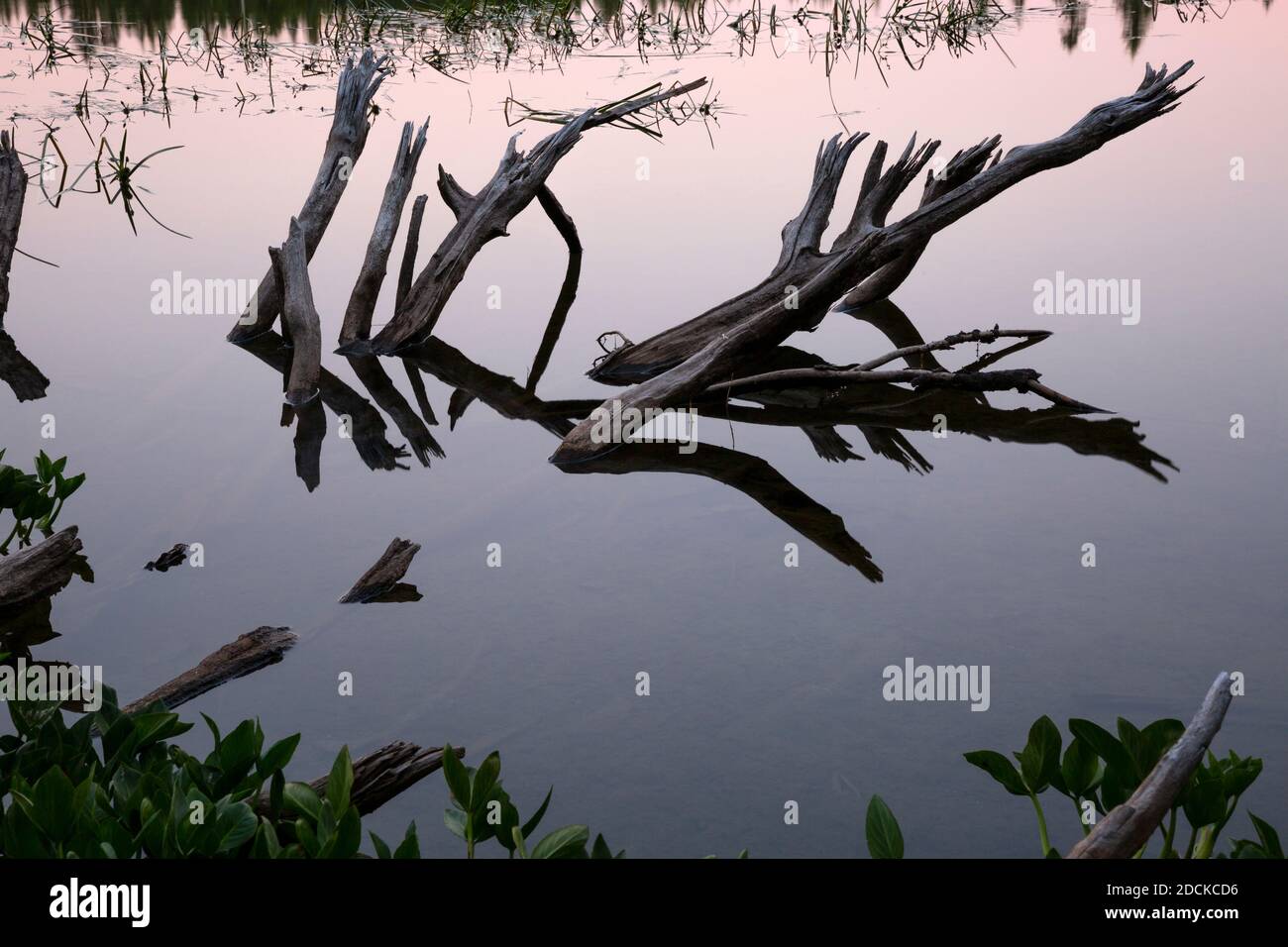 Horseshoe Lake Gifford Pinchot National Forest at Kaitlyn Finnell blog