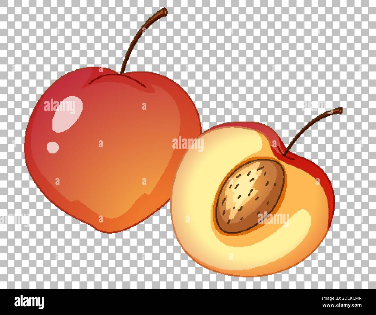 Peach cartoon style isolated illustration Stock Vector Image & Art - Alamy