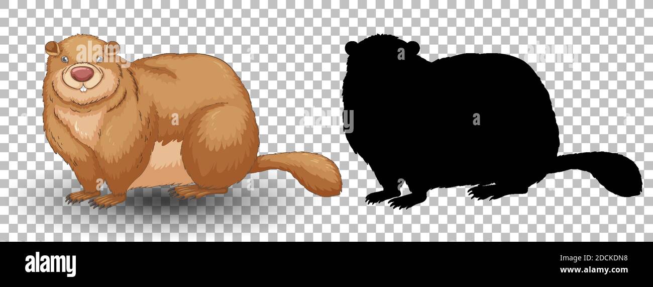Woodchuck cartoon character with its silhouette illustration Stock ...