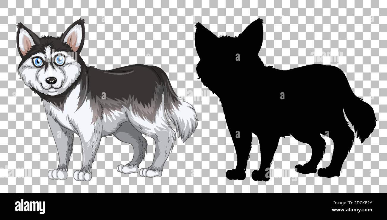 Cute siberian husky and its silhouette on transparent background ...