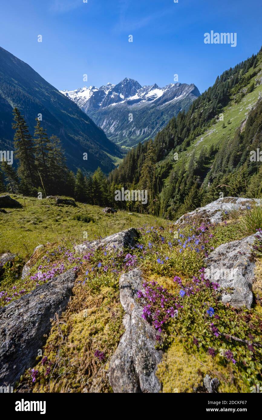 Mountain landscape, Zamser Eck, Kleiner Hochsteller ...