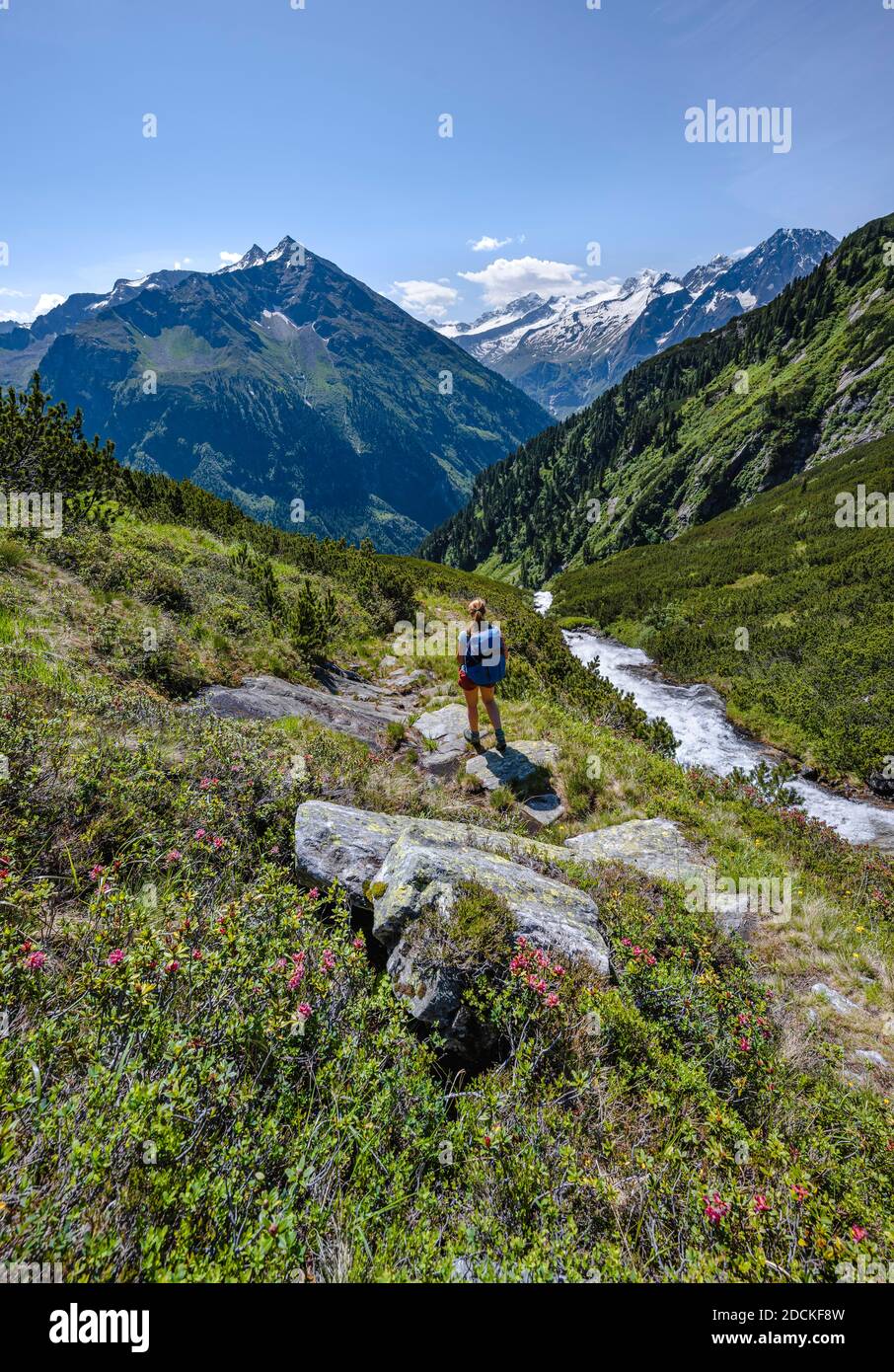 Grosser kesselbach hi-res stock photography and images - Alamy