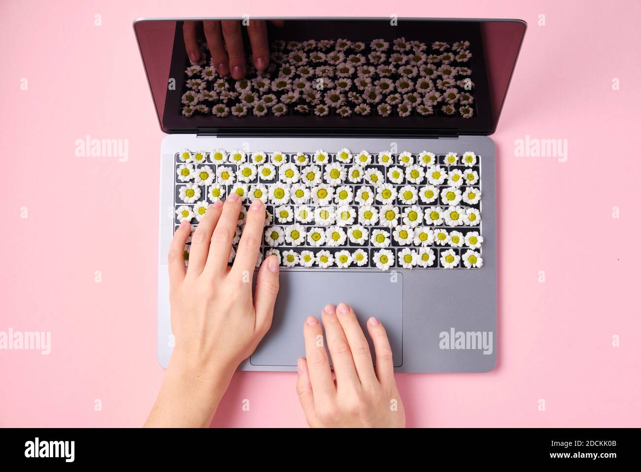 Spring Flowers Keyboard. Laptop with Flowers over pink background ...